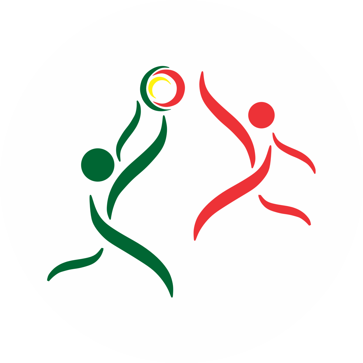 FPN – Federação Portuguesa de Netball – For the love of Netball